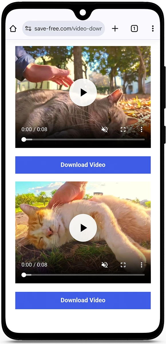Convert instagram video to mp4 store